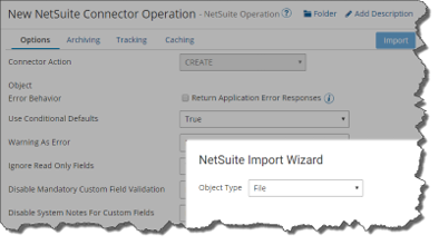 Article: NetSuite Basics: Working with File Cabinet Attachments - Boomi ...