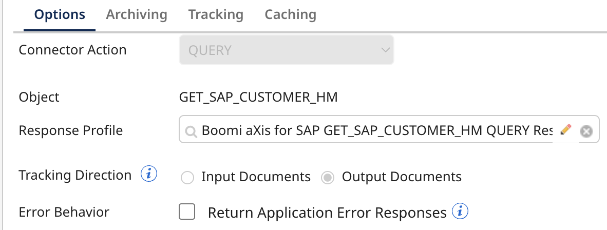 Article: Recipe : Connect SAP to Snowflake - Boomi Community