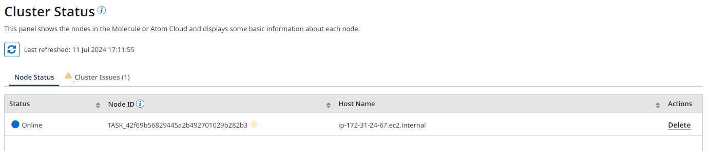 Article Integration Runtime Installation Molecule On Aws Ecs Boomi Community