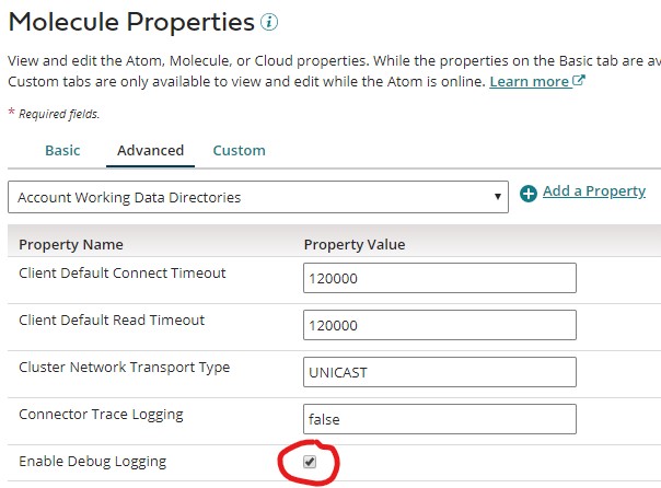 Article Missing Lines In Execution Artifacts Runner Log When The Log File Is Large Boomi