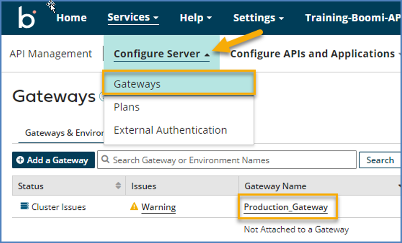 Article: API Management Execution Settings - Boomi Community