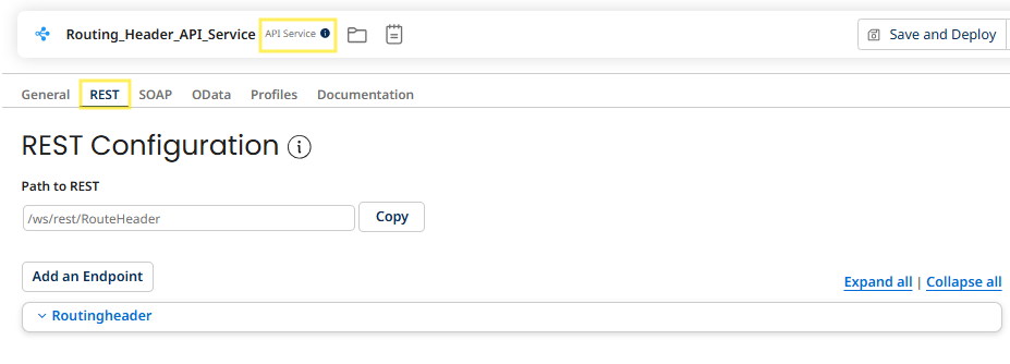 Article: How to Configure Routing Headers in the API Service Component - Boomi Community