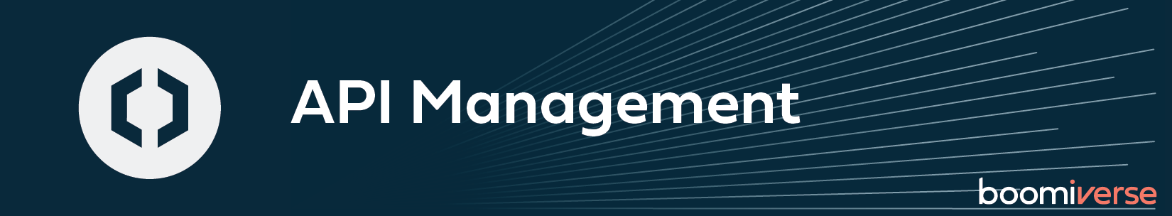 Professional API Management Updated