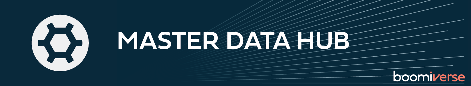 New Master Data Hub Byte Available: Using APIs to Manage Your Data
